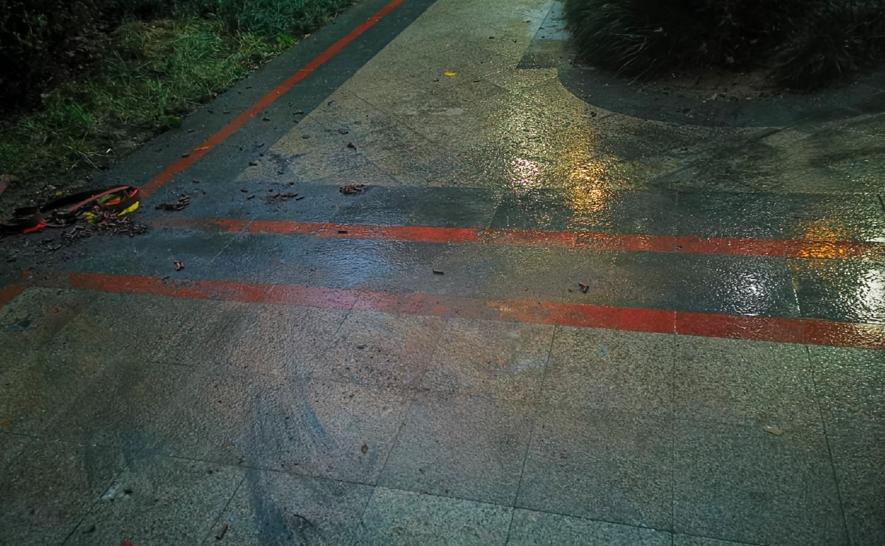 A well-known internet celebrity committed suicide by jumping off the ...