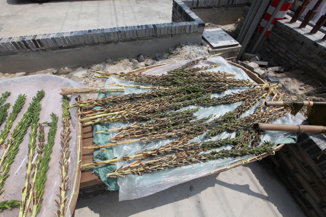 "Looking for History" Shen Yue's "Song Shu": Elegance and Uniqueness ...