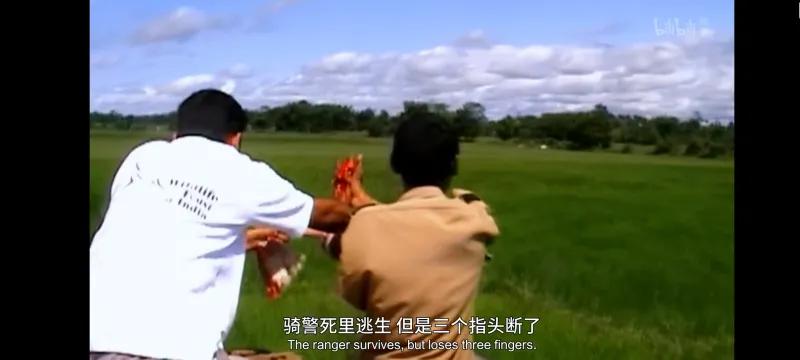 Bengal tiger and reticulated python fight, who can be better? - iNEWS