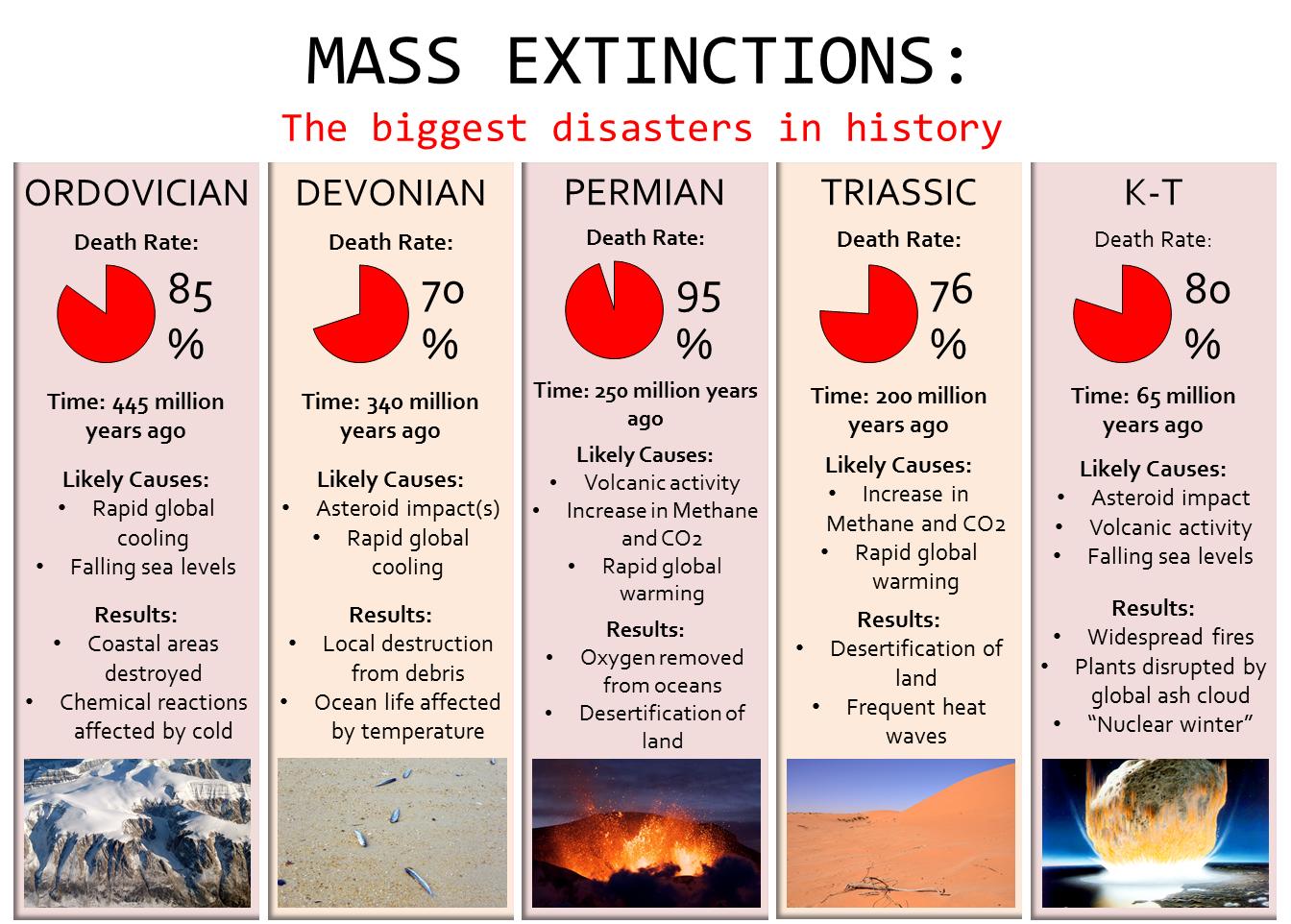 Did Mexican deep-sea rock samples find decisive evidence?What happened ...