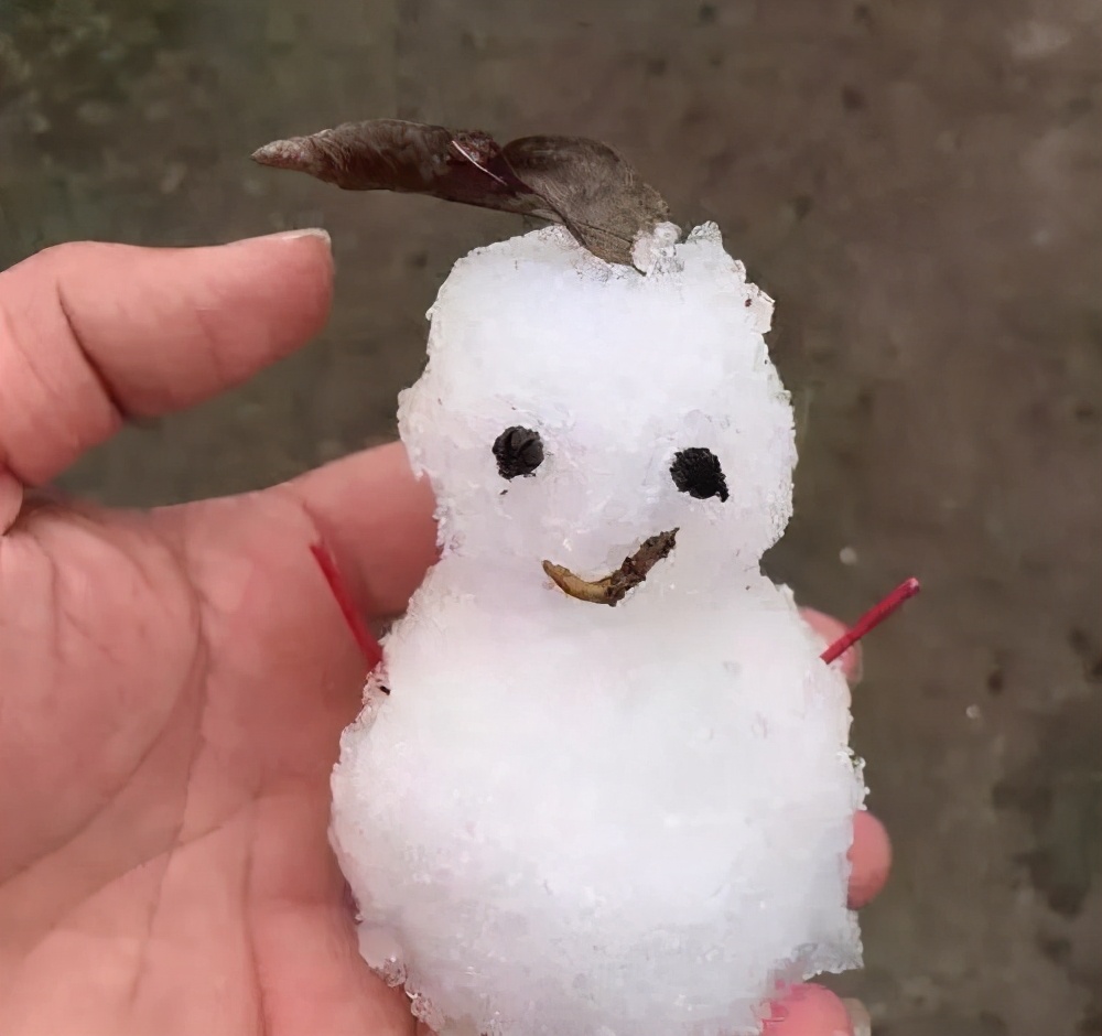 The "snow" poor southerners are really interesting. They are snowmen ...