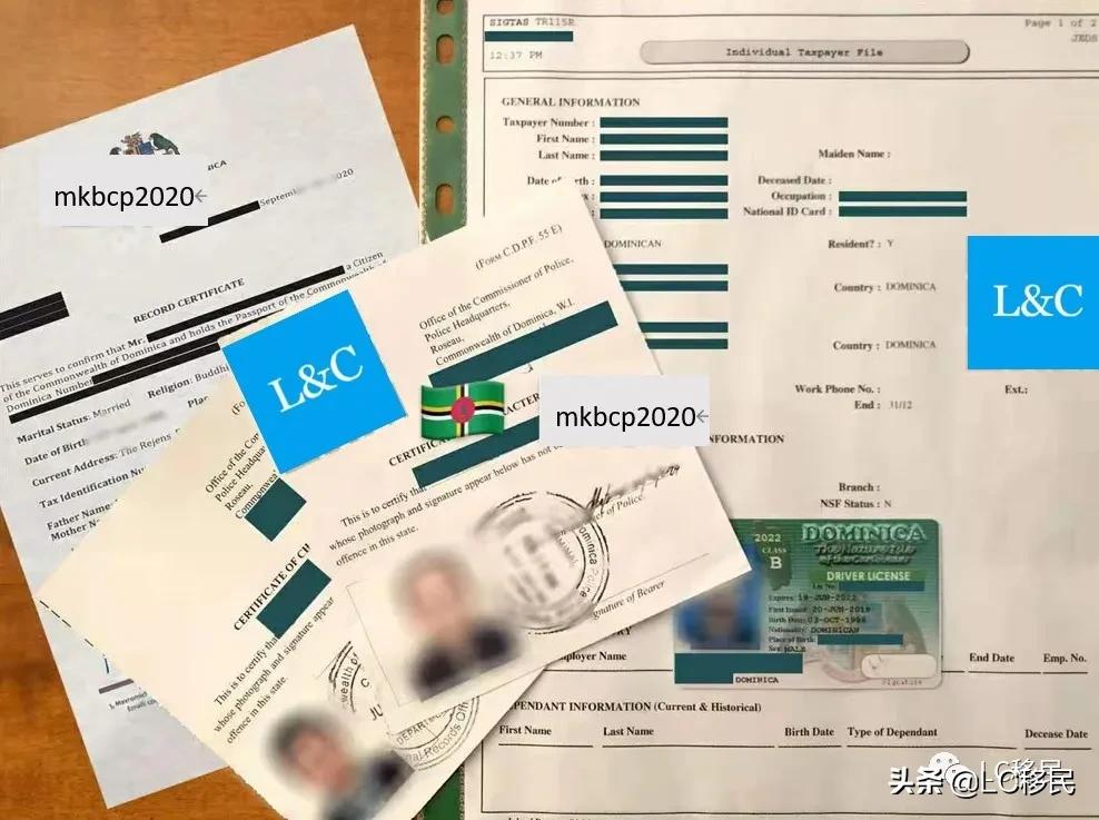 After obtaining a Dominica passport in 2021, what are the three things ...