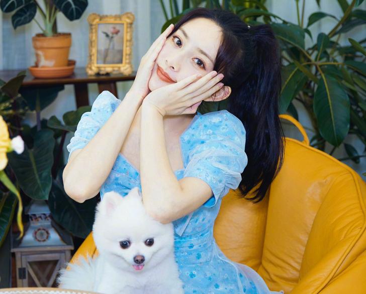 Healed variety show and popular artists, "Hao Yan" CP is expected to ...