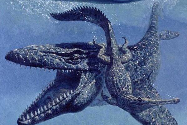 The largest prehistoric marine creature: Hoffman Mosasaur, 17.3 meters ...