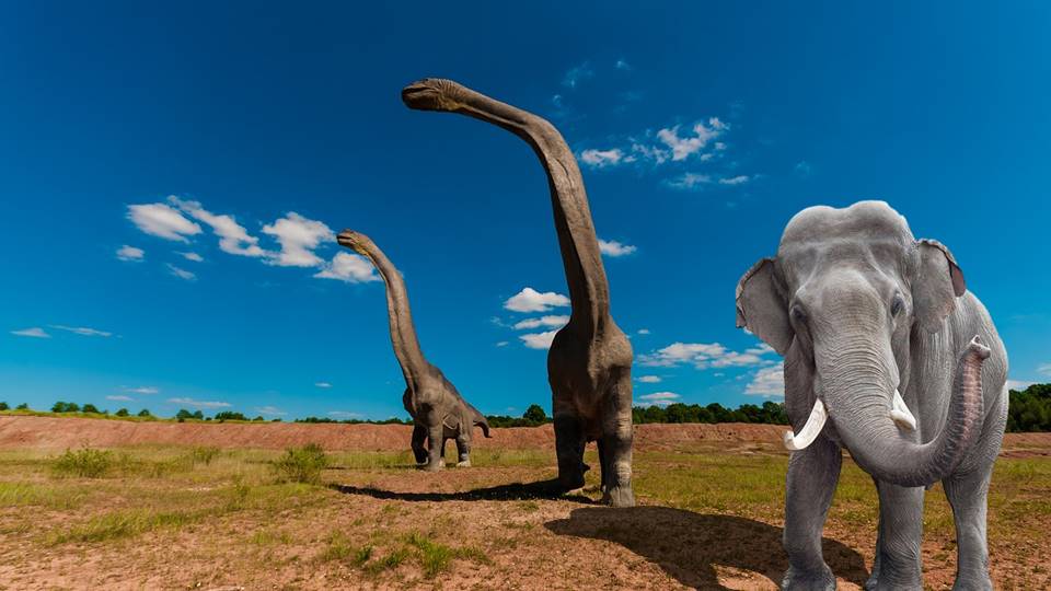 Put a group of elephants in the Jurassic Era, can they evolve into ...