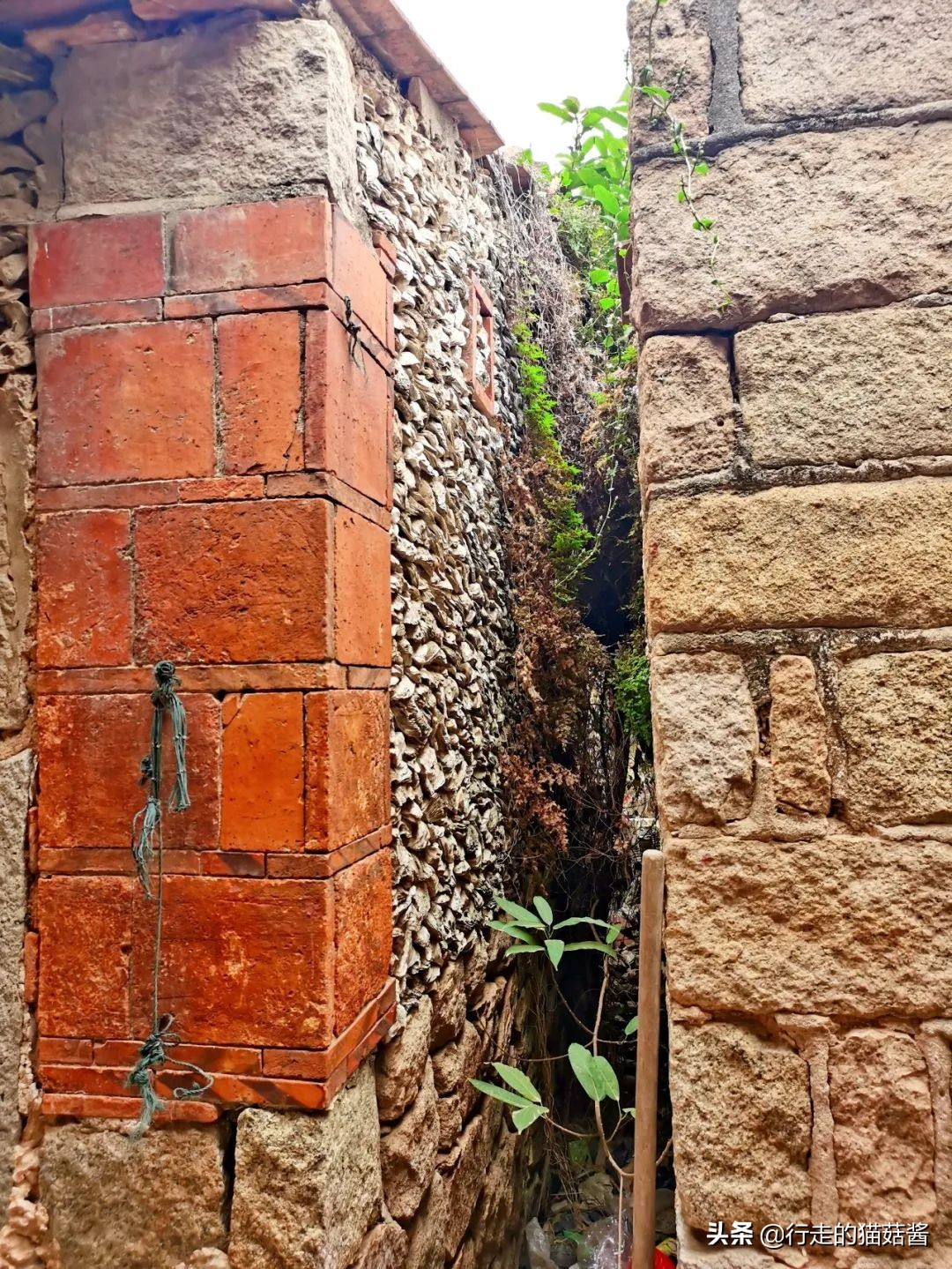 This magical village in southern Fujian uses oyster shells to build a ...
