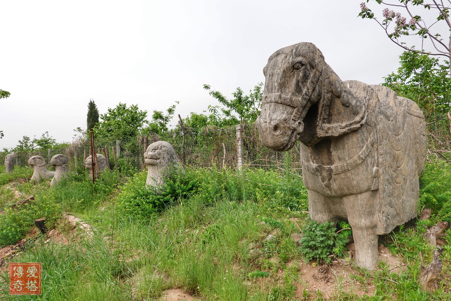Song Taizong Zhao Guangyi Yongxi Mausoleum - iNEWS