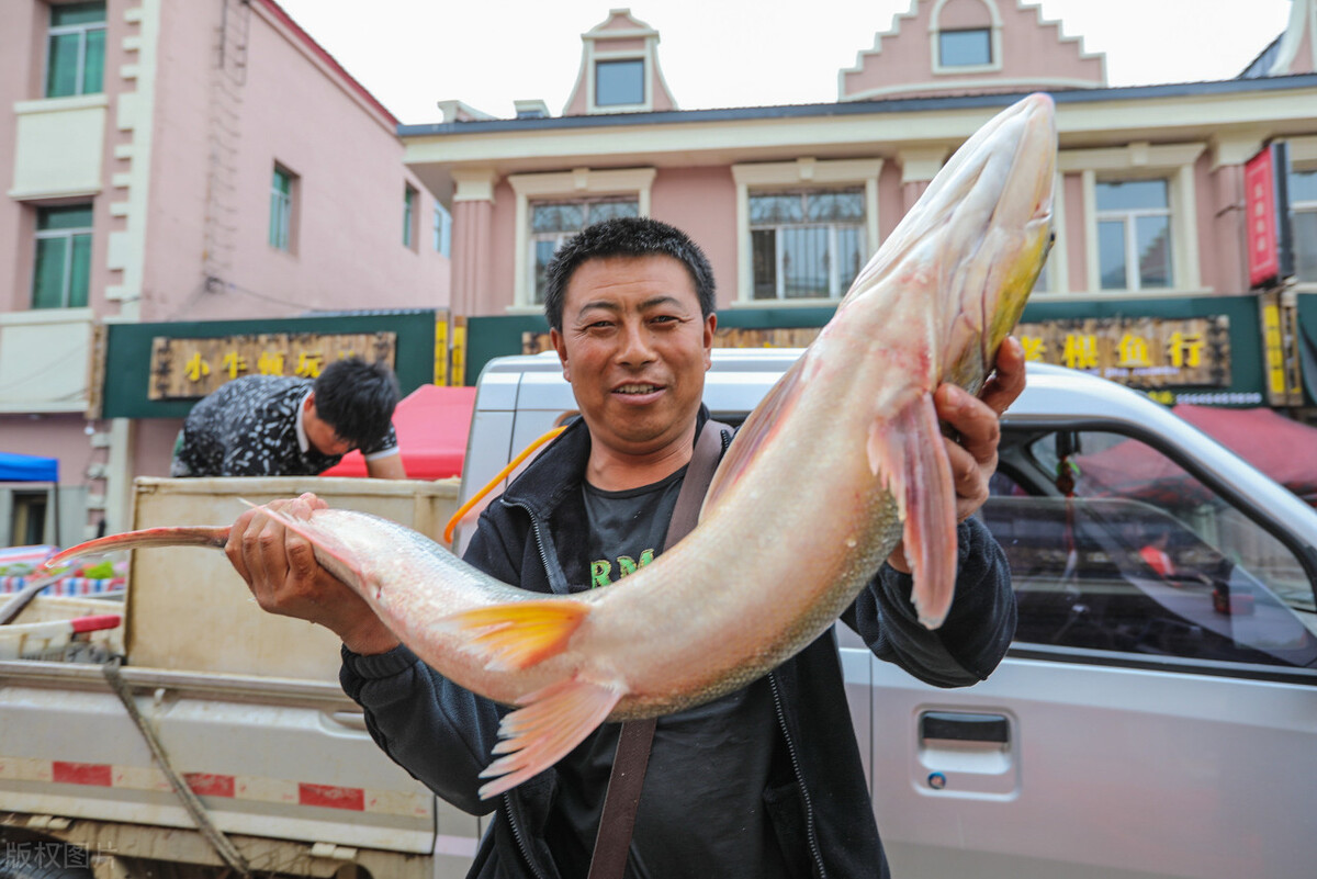 What is the "water monster" of Kanas Lake?Is the 10-meter-long big fish ...