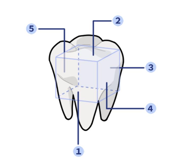 What happens to people who pick their teeth with toothpicks?In addition ...