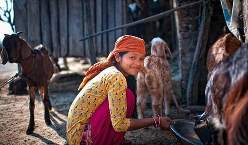 Polyandry is practiced in Nepal. Brothers in the family marry the same ...