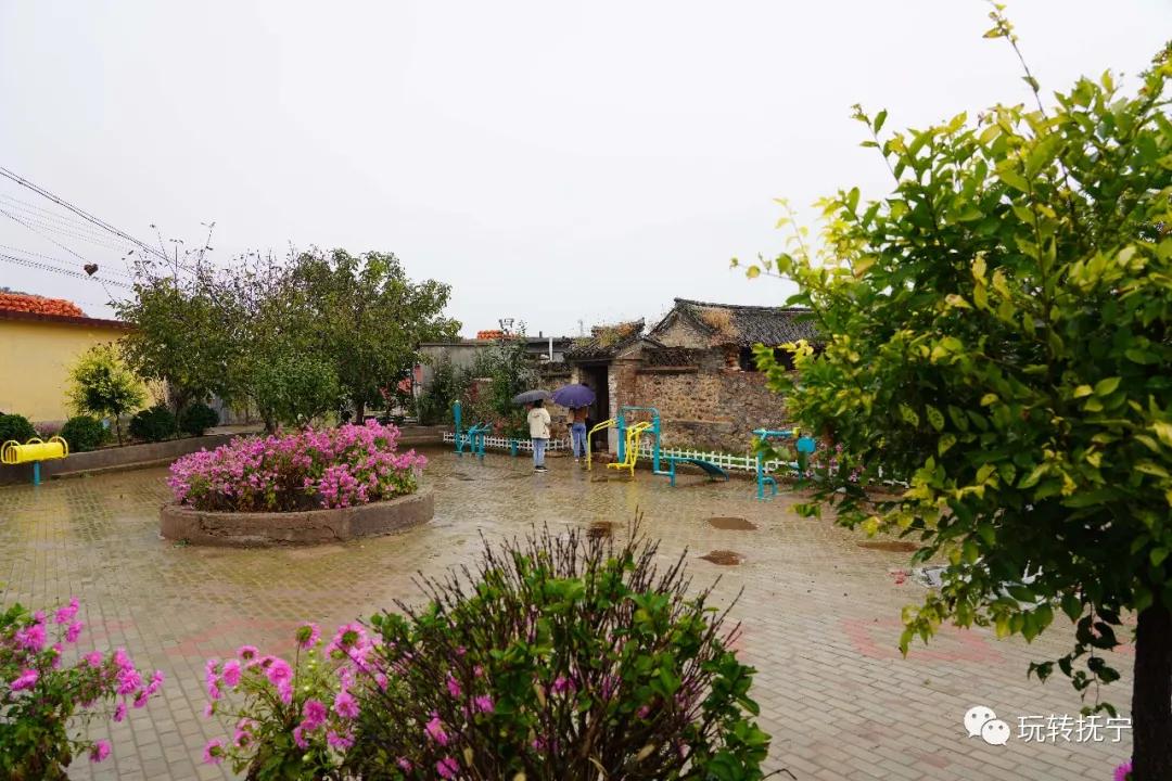 The village of Funing turned out to be the blessed land of Kowloon ...