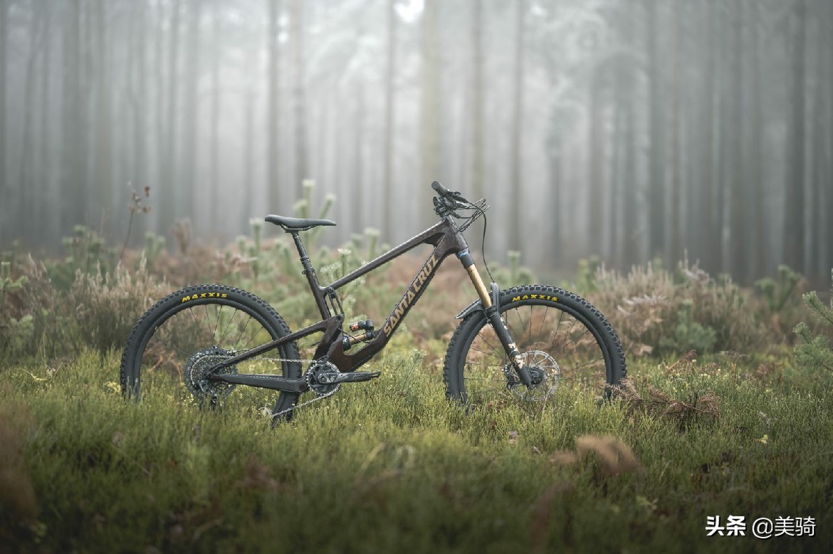 The history of the Santa Cruz brand development - iNEWS