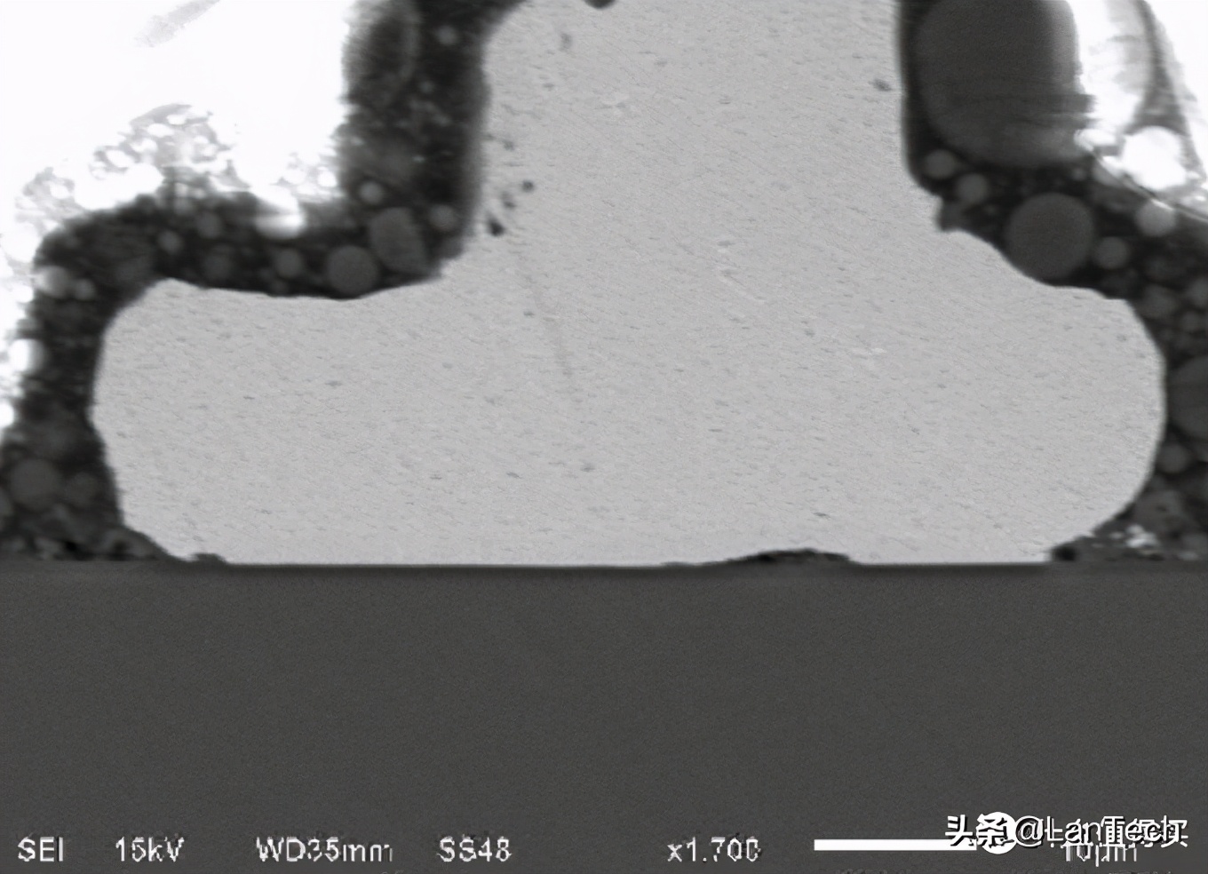 What does the chip look like? Scanning electron microscope ...
