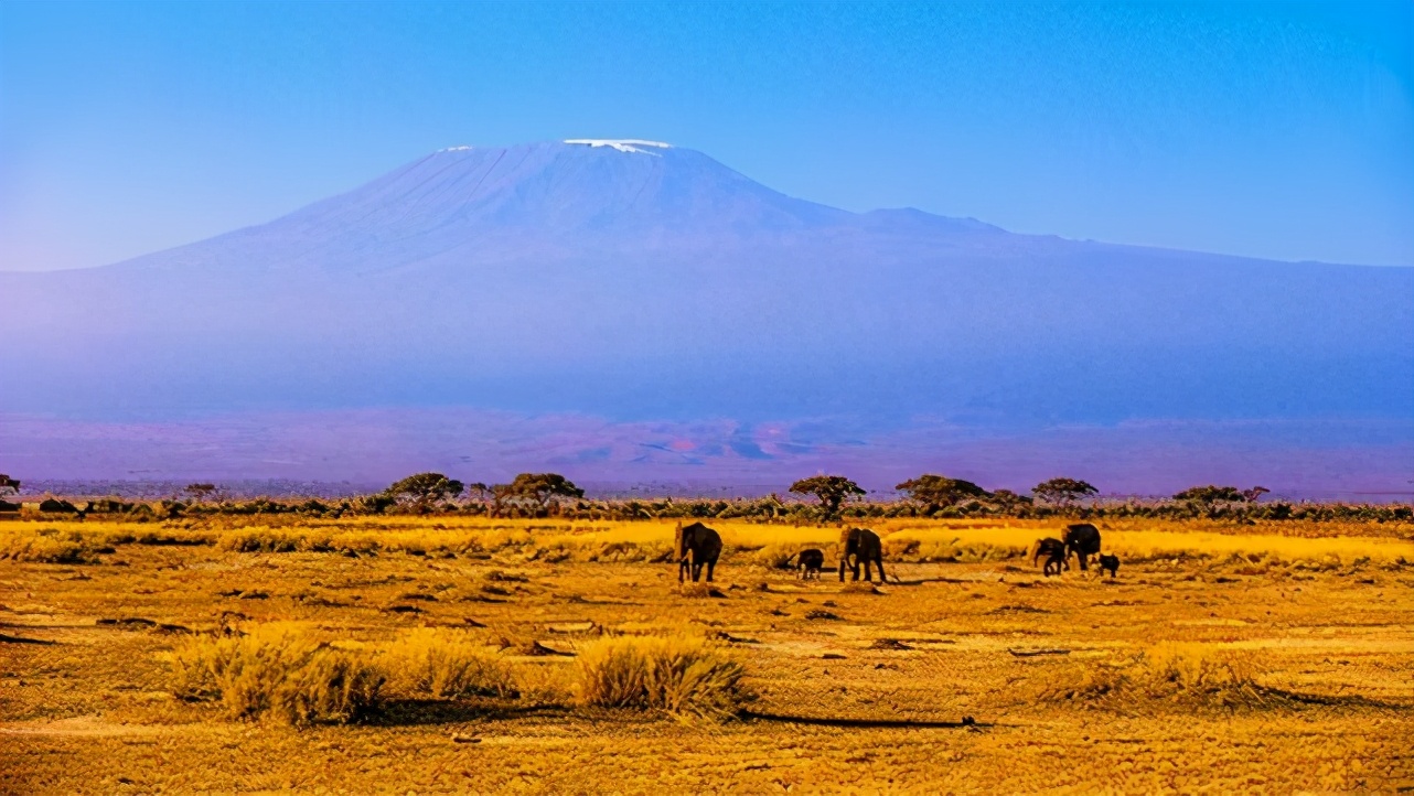 Humans use only 100,000 years to evolve high-level civilization, why ...