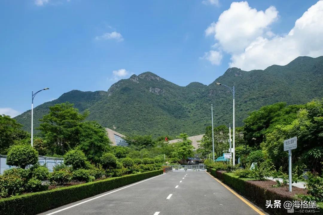 Challenge the second highest peak in Shenzhen, experience 360° hiking ...