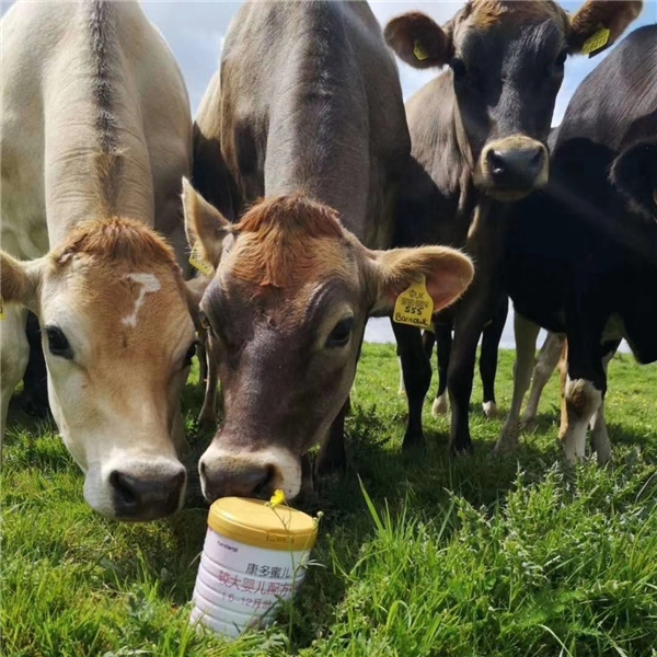 How to choose milk powder for weaning?Condor Miller, the king of milk ...