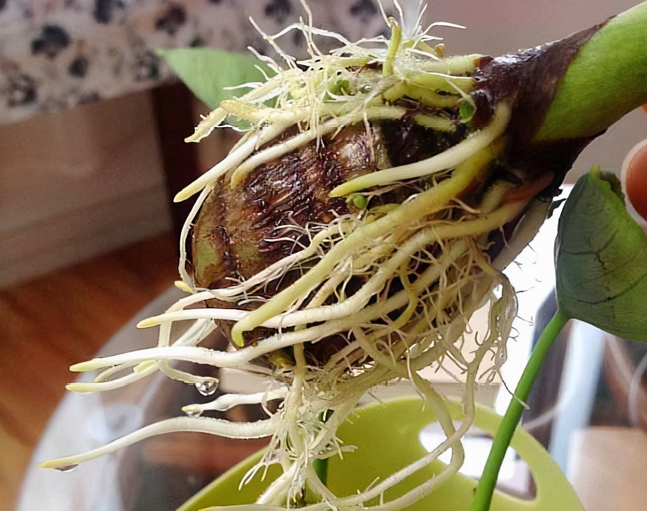 To deal with "formaldehyde and benzene", just raise a pot of ...