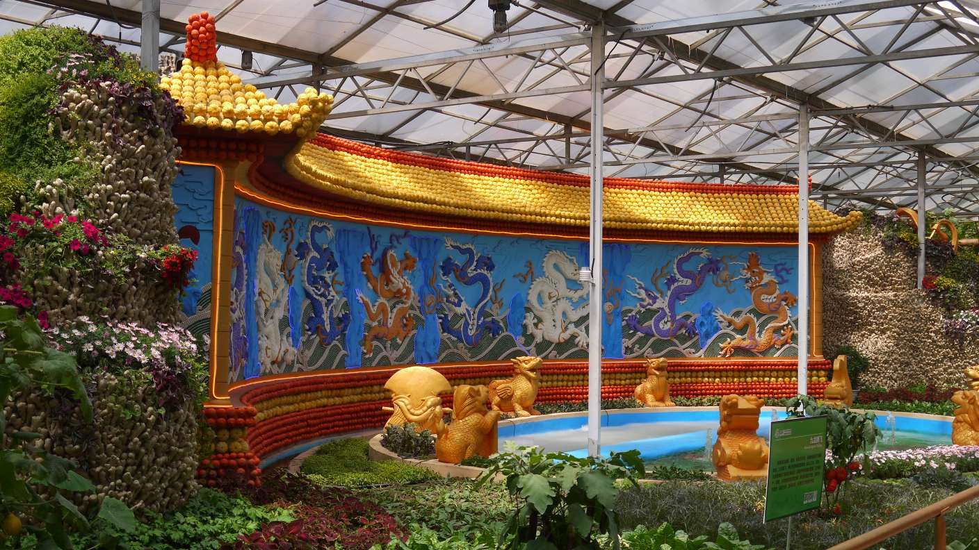 Visit to Exhibition Hall 8 of Shouguang Vegetable Expo (2) - iNEWS