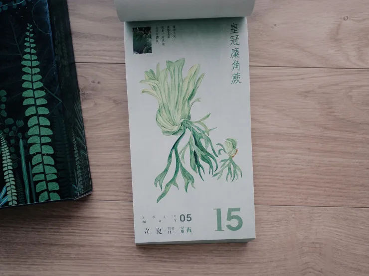 "Jingdong Dog" is fat?2022 hand-painted seed calendar, come and see ...