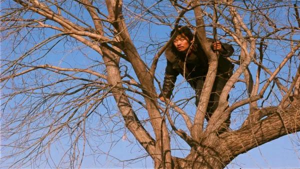 "Hello, Mr. Tree!": Ten years later, I saw my shadow on the tree - iNEWS