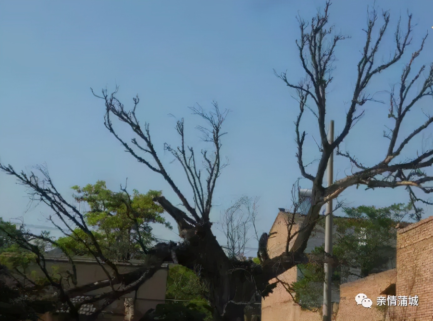 Shili'an Wangpo where Tang Ruizong Bridge Mausoleum is located - iNEWS