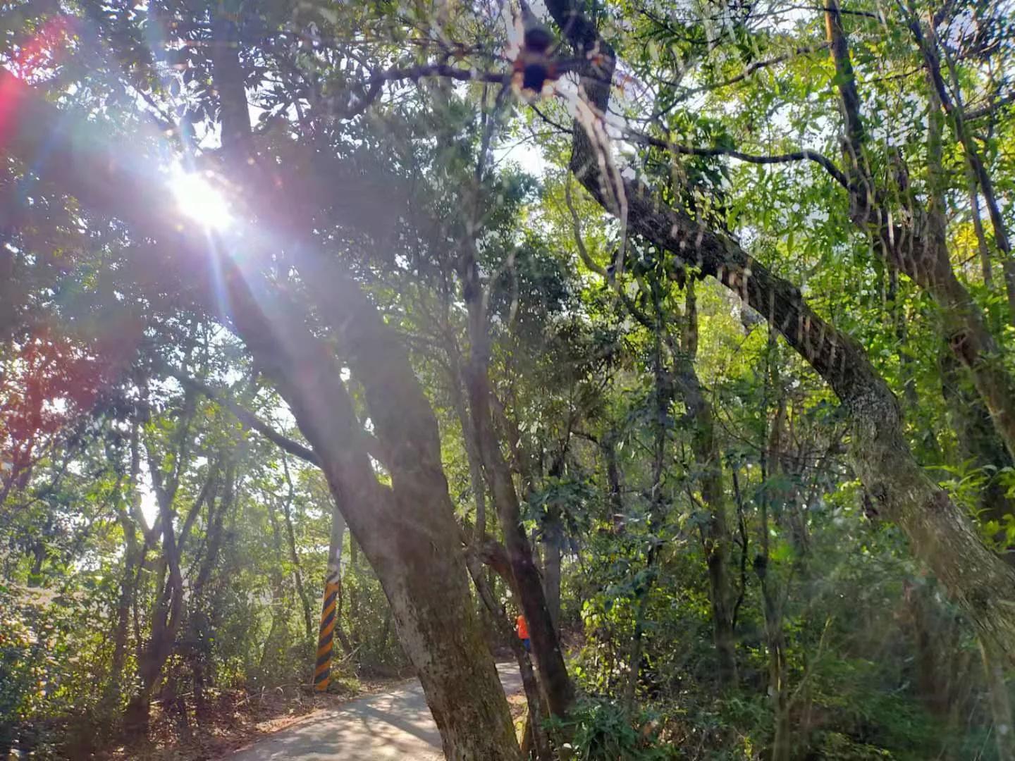 Taiwan Travel Notes No. 32: Yuanlin Tengshan Trail - iNEWS