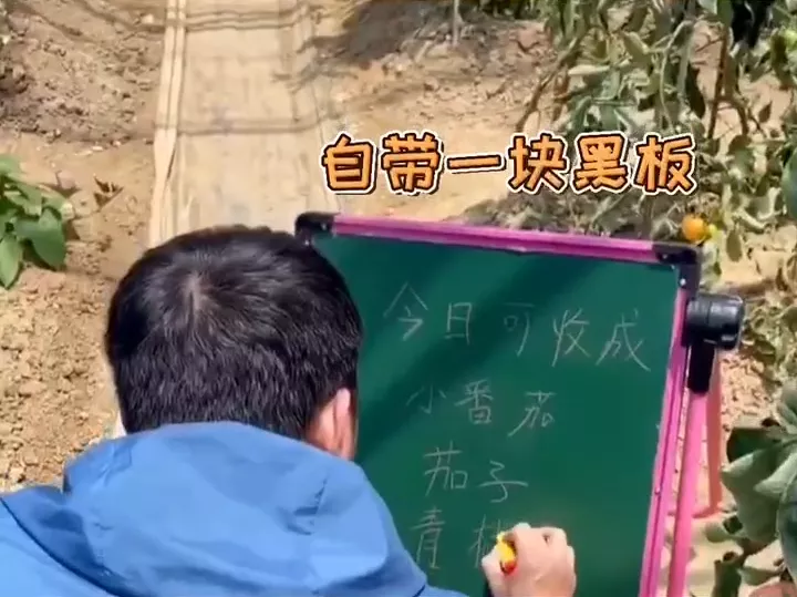 Dad reproduced the reality version of Moore Manor for his child, but he ...