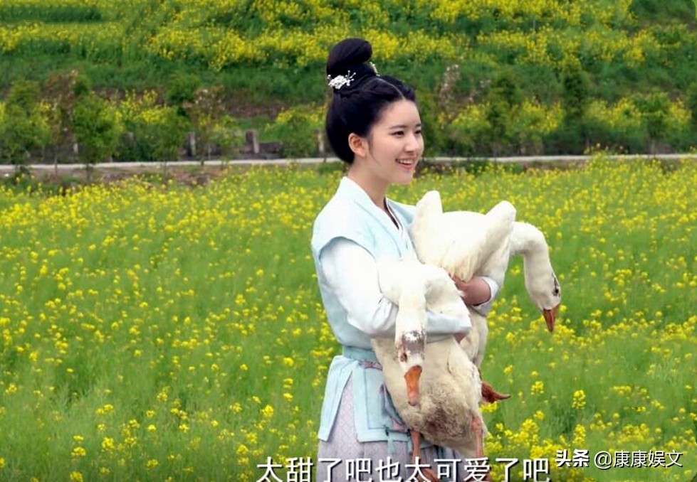 Changgexing: Chai Niangzi offline?Li Leyan was forced to wander again ...