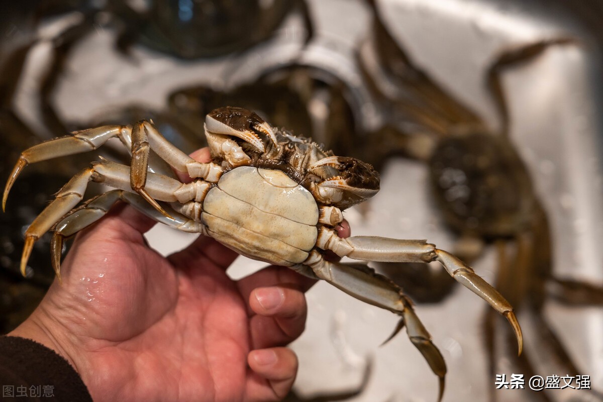 How amazing is the crab's body?The ancients gave names to various parts ...