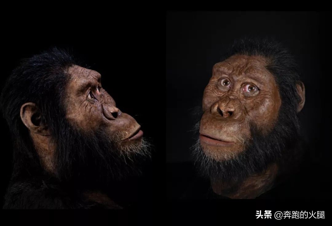 The evolution of body hair: Women feel that these two parts of hair are ...