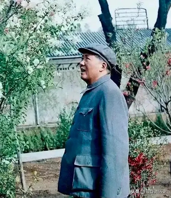 Let you get to know the different Mao Zedong and appreciate the wisdom ...
