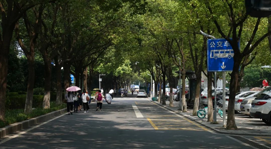 A picture crosses, the ten most beautiful boulevards in Wuhan! - iNEWS