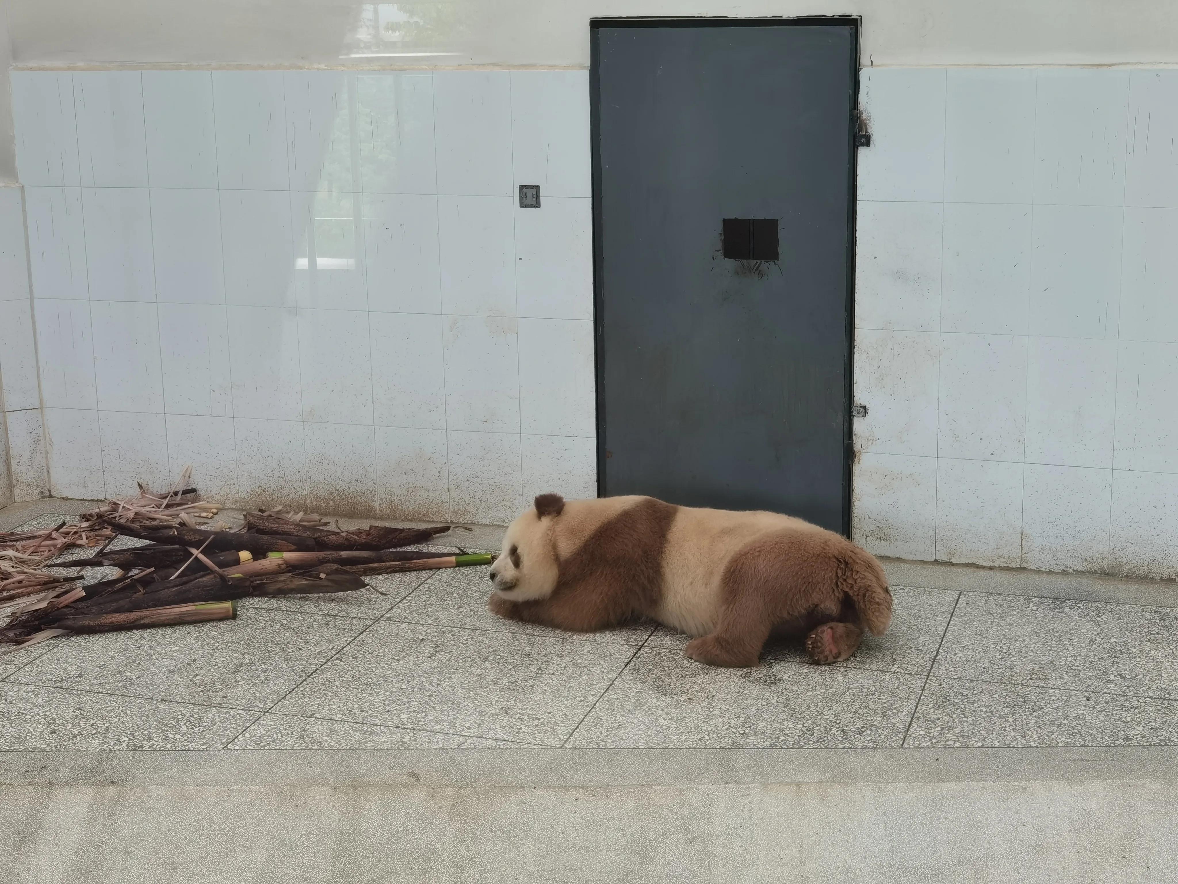 Qinling Sibao Science Park worthy of taking a baby tour - iNEWS