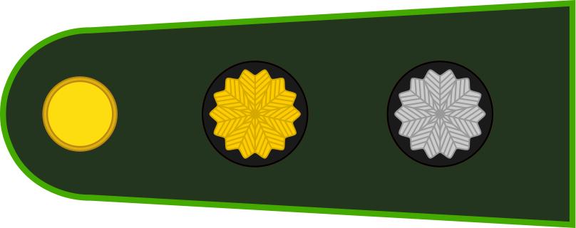 Military rank identification of each country: Argentina - iNEWS