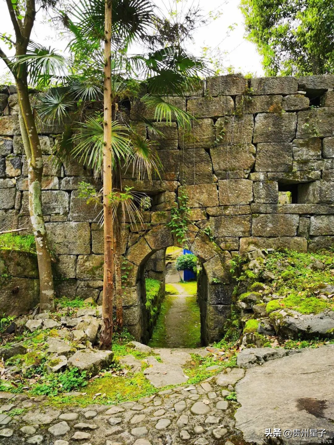 Visit the Yingpan Site of Manaoshan in Suiyang Town - iNEWS