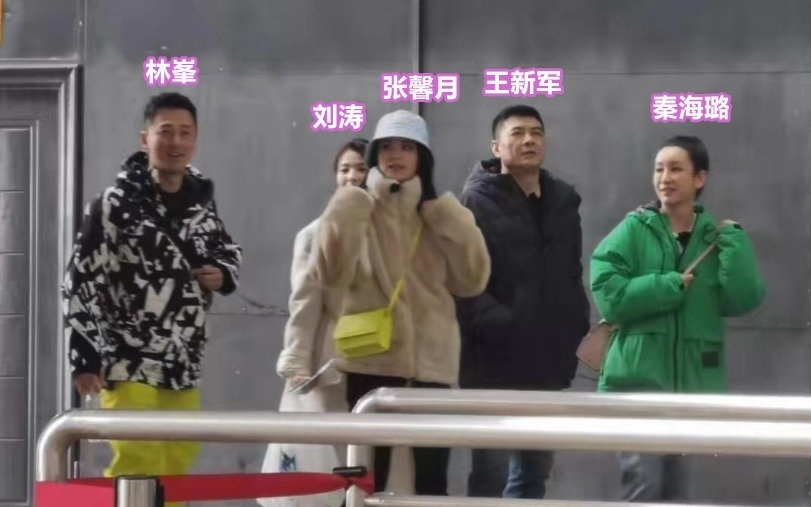 "Wife 5" Reuters photo reveals, Qin Hailu takes over Zhang Ziyi and ...