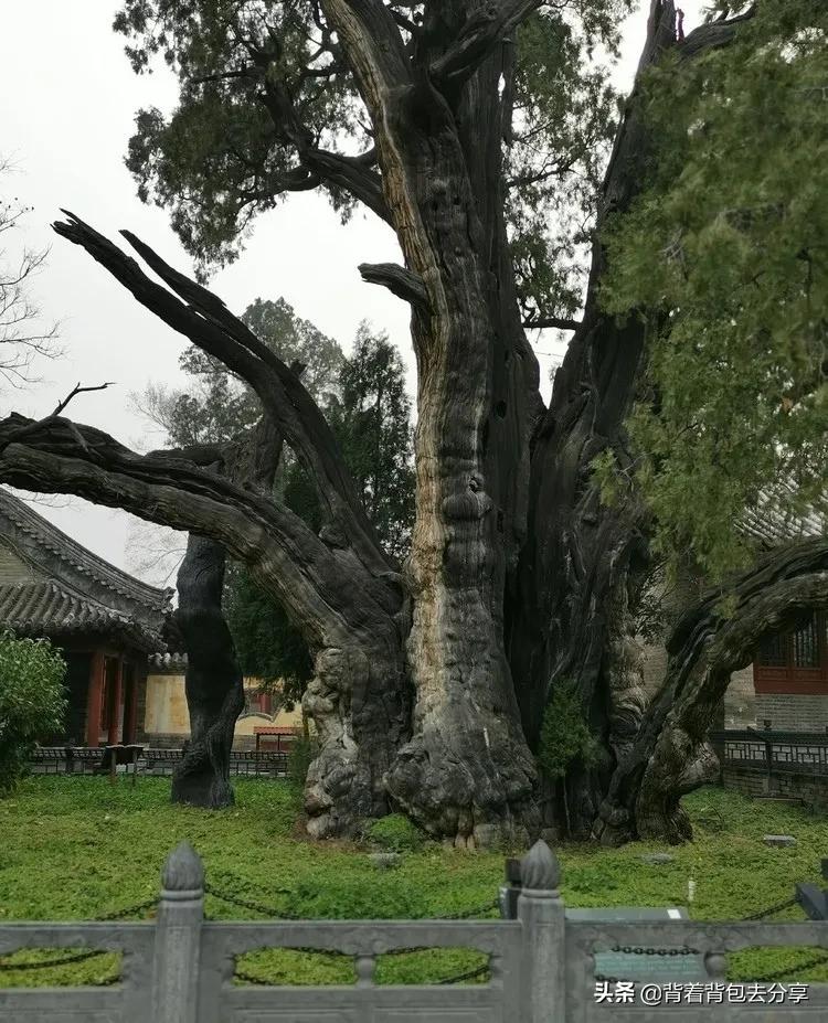 Of the four famous academies in ancient China, only the Songyang ...