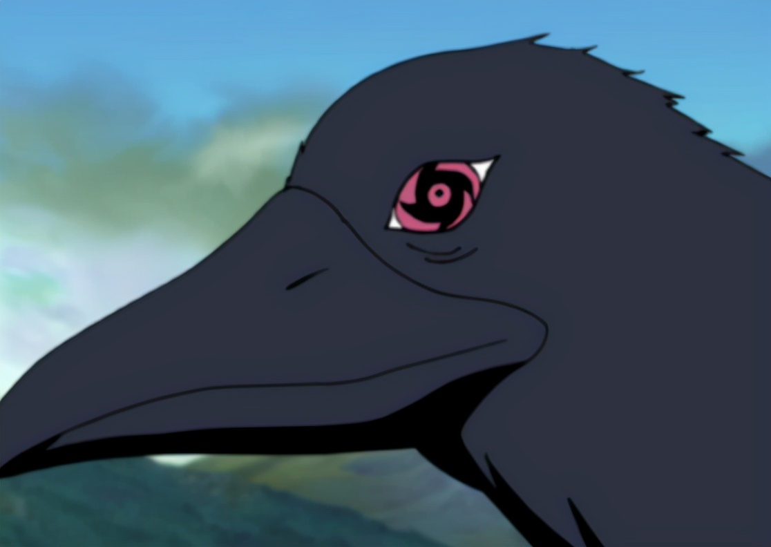 Sasuke also uses crow illusion?The perfect man Zhuli will also be ...