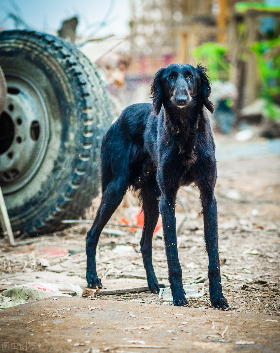 In the myth, Erlang sits down on the beast, and the ancient majestic ...