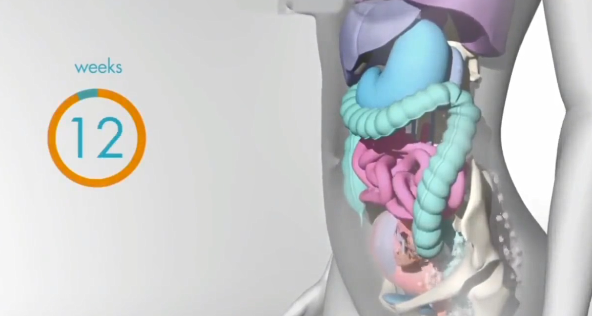 In October, where did the fetus squeeze the mother's internal organs ...