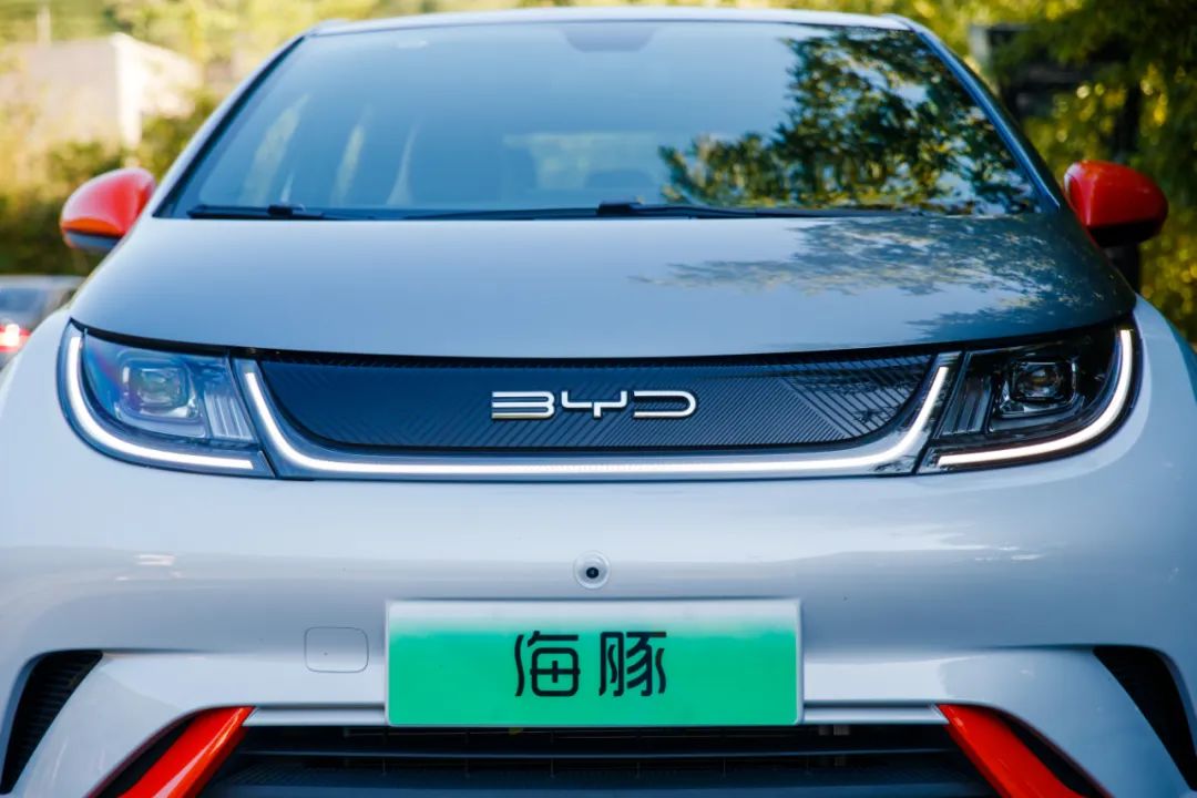 Test drive the BYD Dolphin designed by ocean aesthetics as "smart and ...