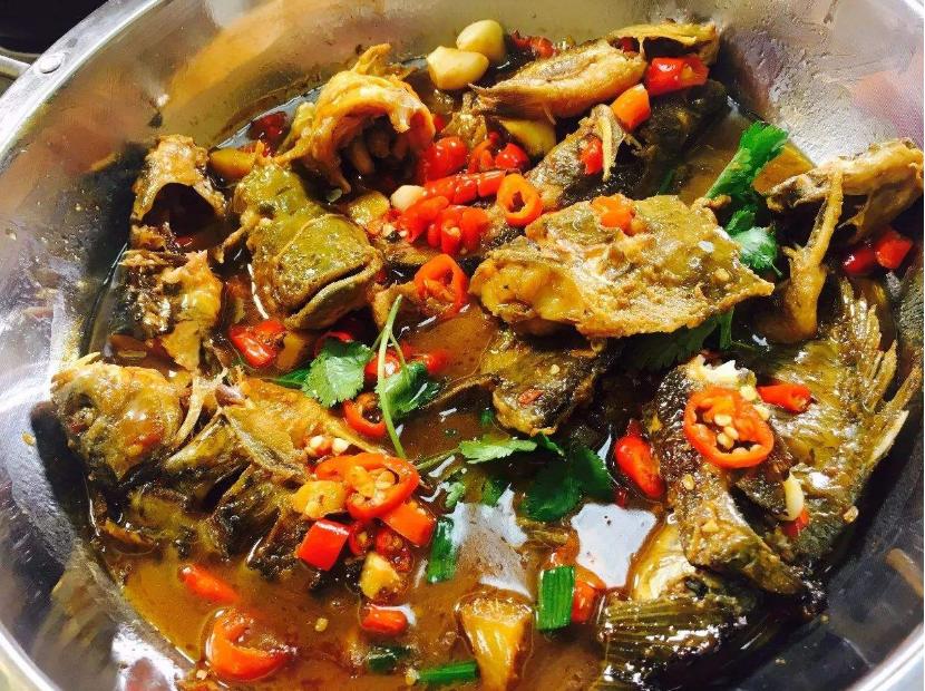 An exotic species of mosquito fish invaded China, eating 2,000 ...