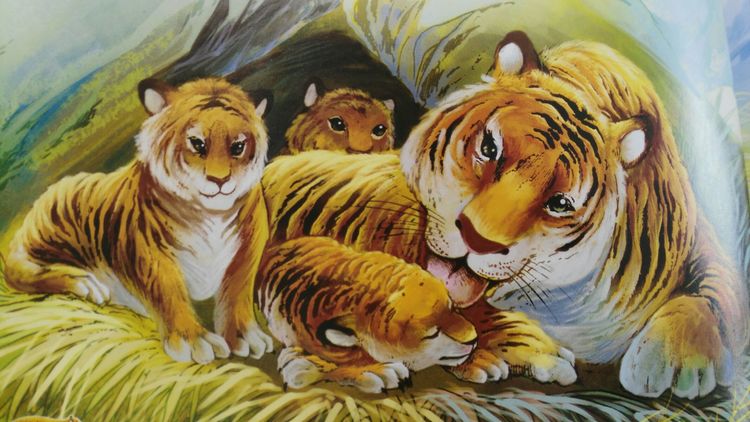 The "biao" in the Chinese population is stronger than the tiger. Is it ...