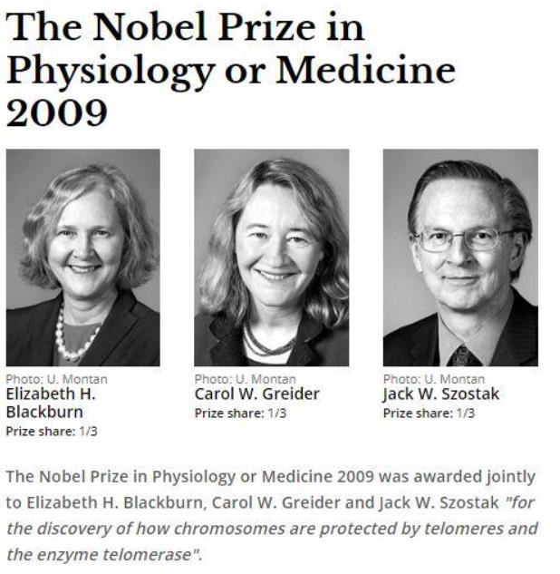 Nobel Prize-winning scientist found: 12 minutes of meditation may be 20 ...