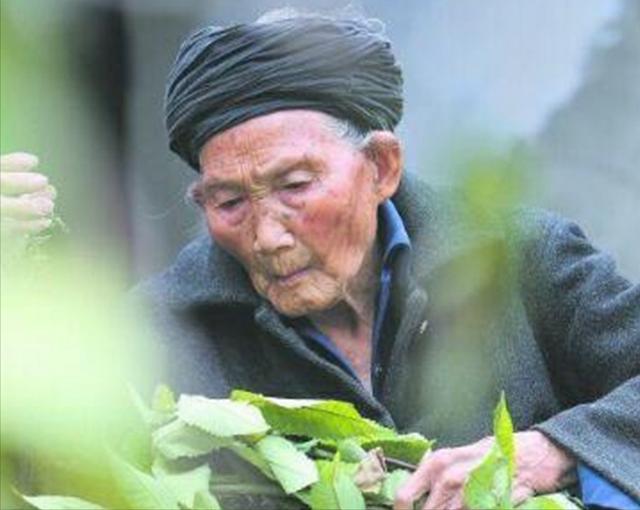 He is the king of longevity in China. He was born in 1862 and lived to ...