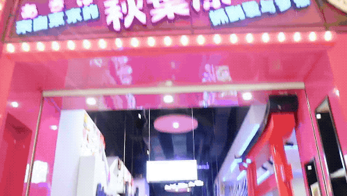 Akihabara-themed Japanese Crane Machine - iNEWS
