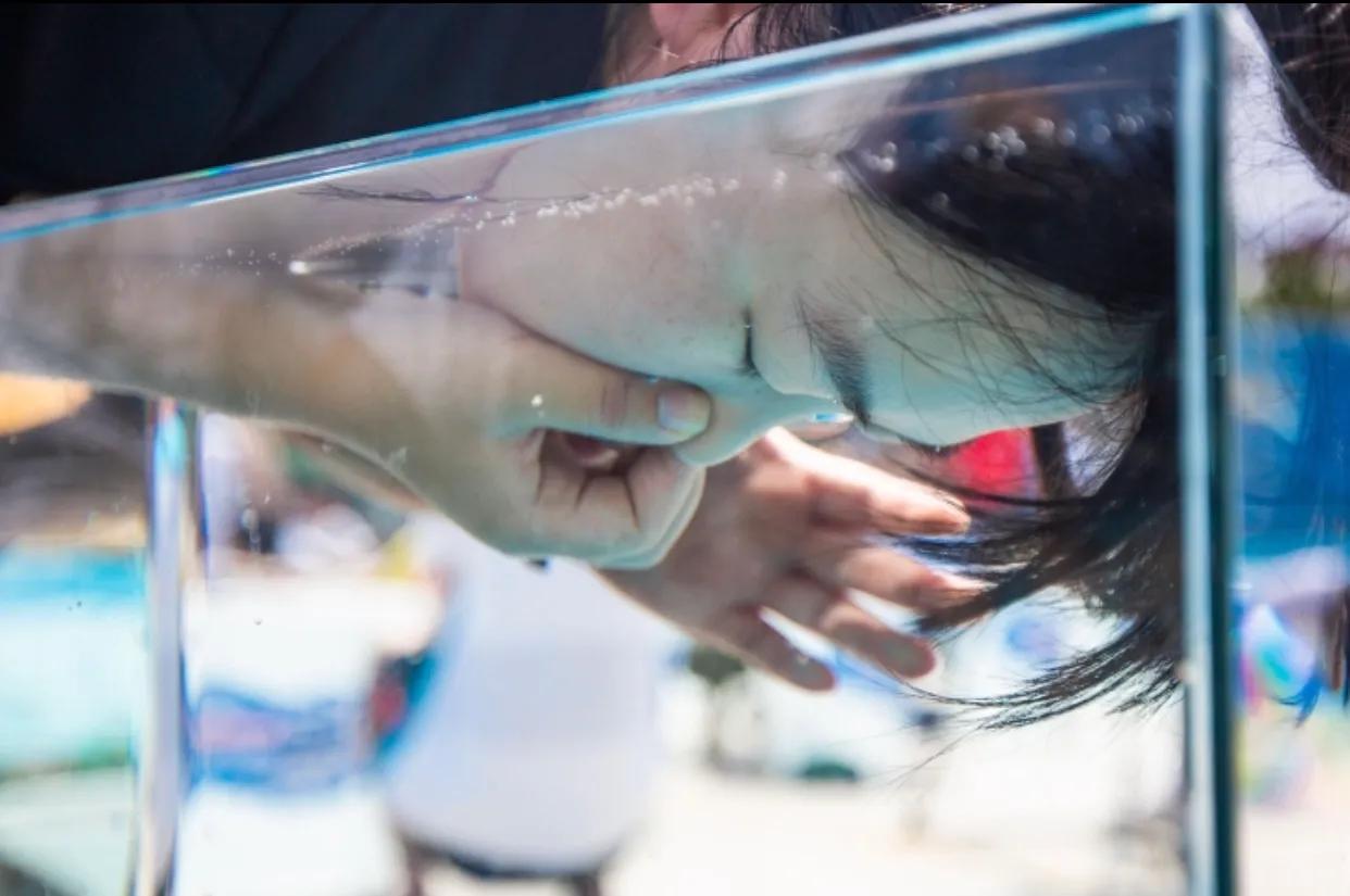 The six limits of the human body - iNEWS