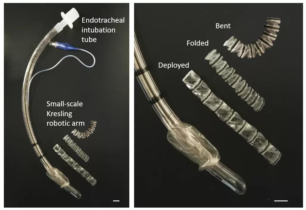 Scientists develop a flexible "paper spring" robotic arm, which is ...