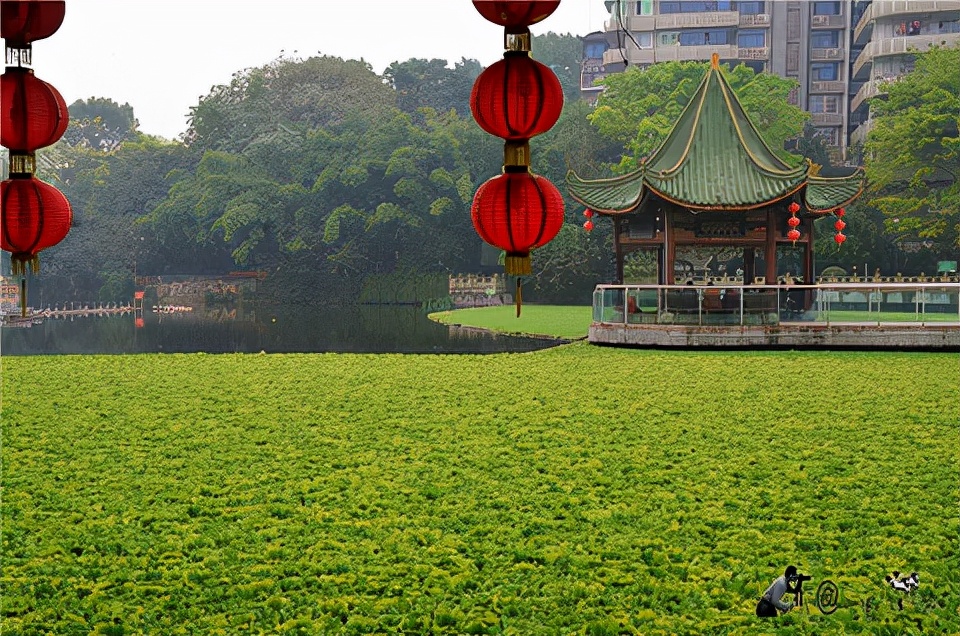 What are the fun places in Chongqing Yubei District?You can go to these ...