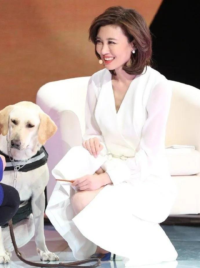 CCTV host Li Hong photo album - iNEWS